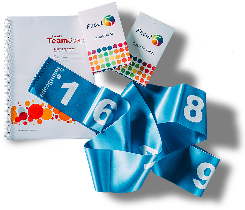 TeamScape Accreditations - Facet5