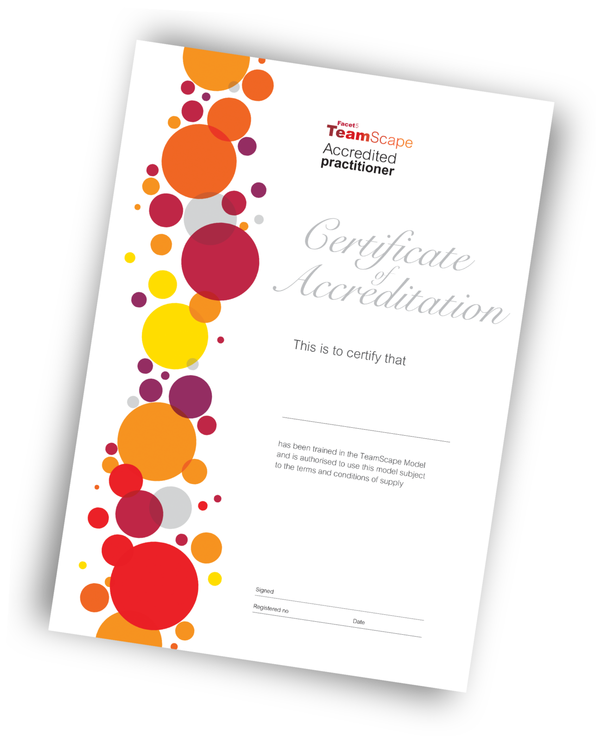 TeamScape Accreditations - Facet5