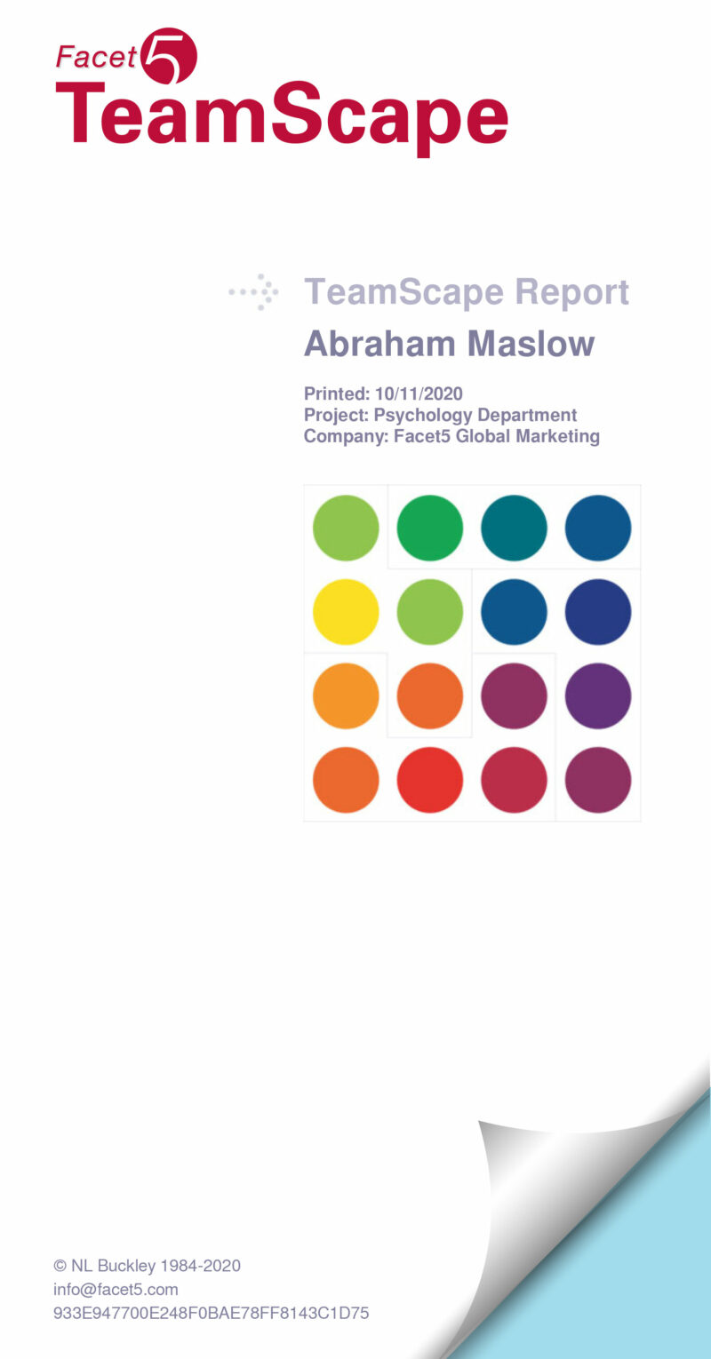 TeamScape Accreditations - Facet5