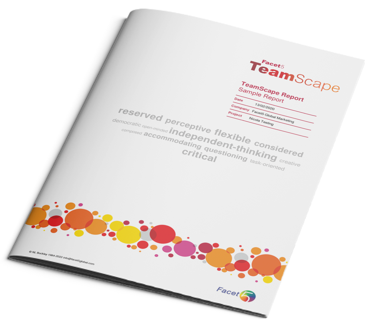 Facet5 TeamScape for team development